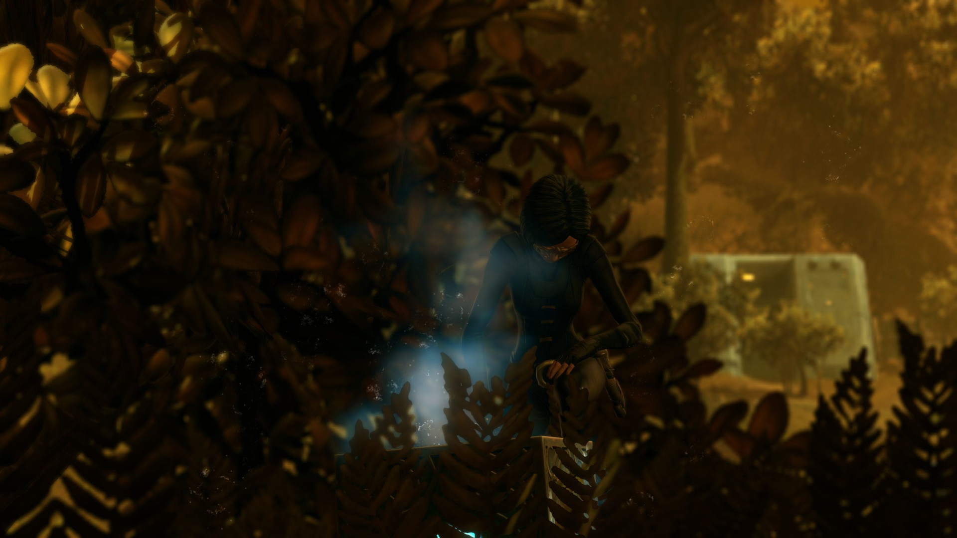 SWTOR Hutta Blue Mastery Datacron Location Guide - Illeva